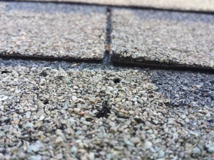 Atlas Chalet Shingles | Defective Discontinued Shingles | Roofpedia